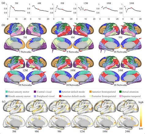 Figure 5 From Fine Grained Functional Parcellation Maps Of The Infant