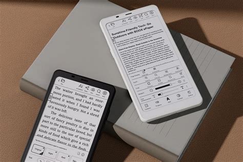 Boox Palma 2 E Reader