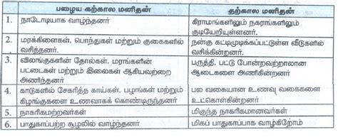 வினா விடை பருவம் 1 அலகு 1 வரலாறு 6 ஆம் வகுப்பு சமூக அறிவியல்