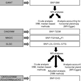 Analysis Diagram Summary Data For SNP Phenotypes Were Extracted From Download Scientific