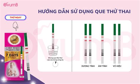 Cách Sử Dụng Que Thử Thai Và đọc Kết Quả Chuẩn Xác