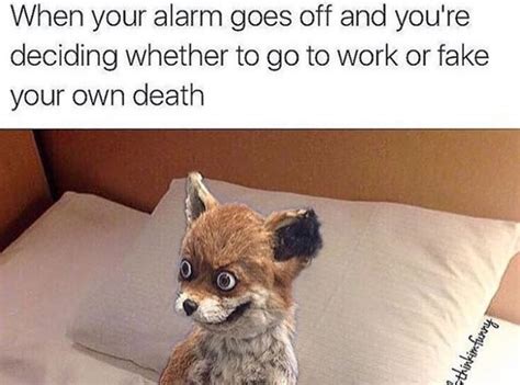 Me Every Day Meme By Ac130above Memedroid