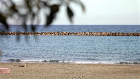 Video Lets Make Cyprus Green On Linkedin Letsmakecyprusgreen