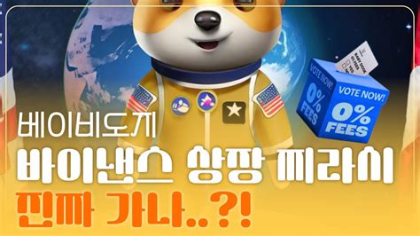 베이비도지 바이낸스 상장 찌라시 진짜 가나 Youtube