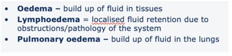 Structures Of The Lymphoreticular System Flashcards Quizlet