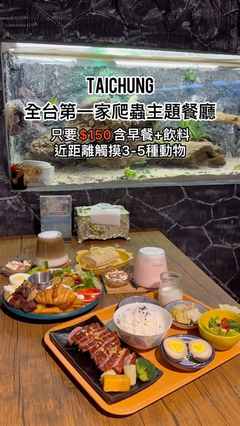 Aliceの美食日記🍴 今天來分享台中一間餐點份量大又可以擼貓的寵物友善餐廳🍴 一共有9隻貓貓陪你一起吃飯🐱 每隻貓咪都很乖巧，都可以摸