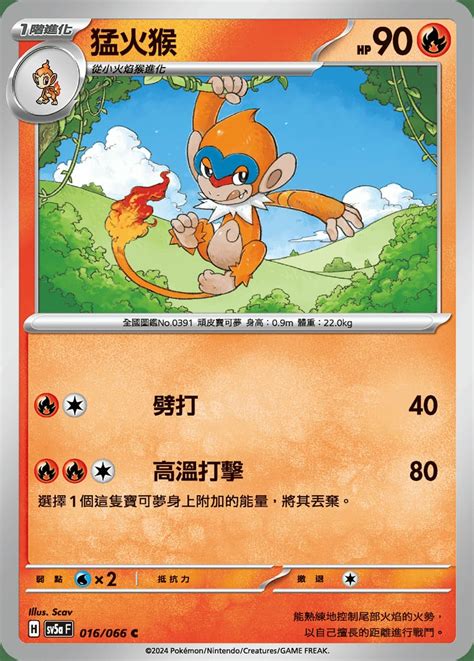 猛火猴 PTCG 搜判
