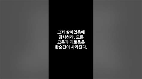 그저 살아있음에 감사하라 모든 고통과 괴로움은 한순간에 사라진다 Youtube