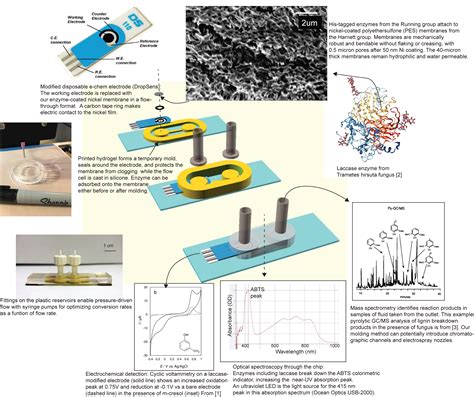 Building A Lab Around An Enzyme Harnett Lab