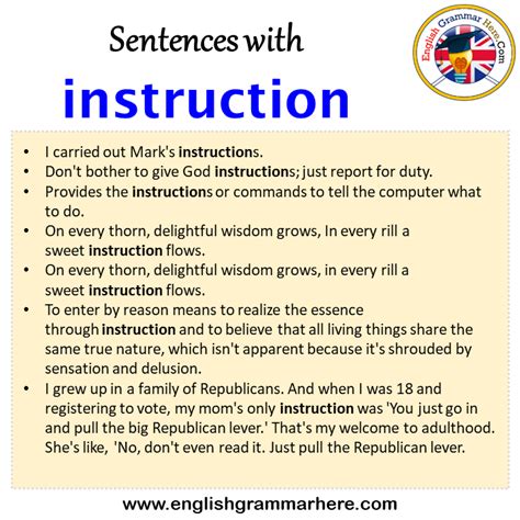 sentences with instruction instruction in a sentence in english
