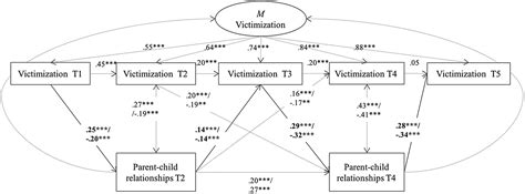 Caught In A Vicious Cycle Explaining Bidirectional Spillover Between