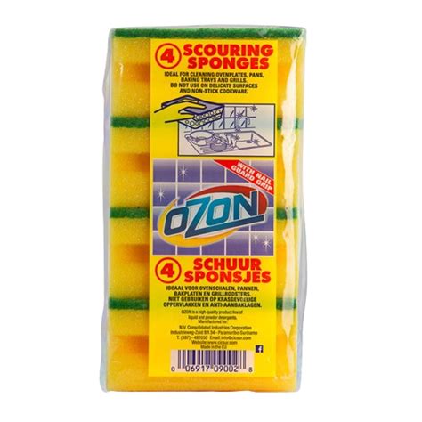 Cic Ozon Scouring Sponges 410001 Hsds Online