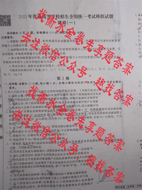 2023衡水金卷先享题分科综合卷全国乙卷英语一答案 衡水金卷先享题摸底卷2025 2026