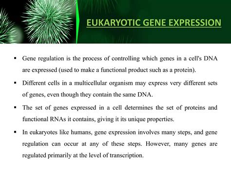 Eukaryotic Gene Expression Pptx