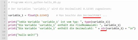 Programmieren Mit Micropython Teil 1