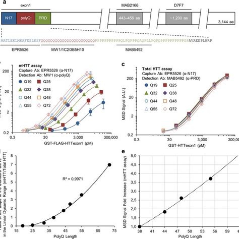 Method For Htt Polyq Length Quantification Htt Proteins Exhibit A Download Scientific Diagram