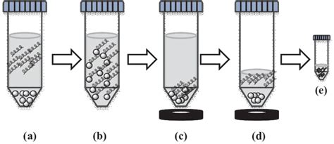 Representation Of The Magnetic Solid Phase Extraction Methodology