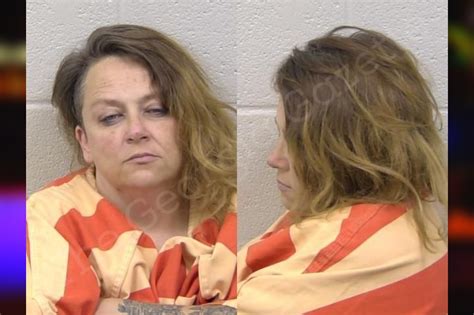 Shelly Ferguson Paulding County Jail Bookings