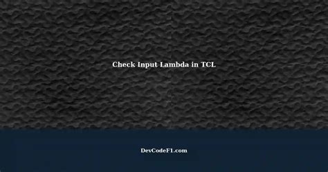 Understanding Check Input Lambda In TCL For Software Development