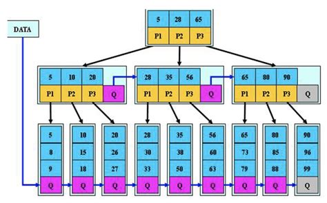 08mysql数据库 · 英格网络实验室