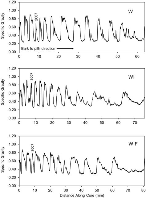 Representative Densitometry Scans For Individual Loblolly Pine