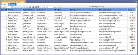 Ssrs Strreverse Function