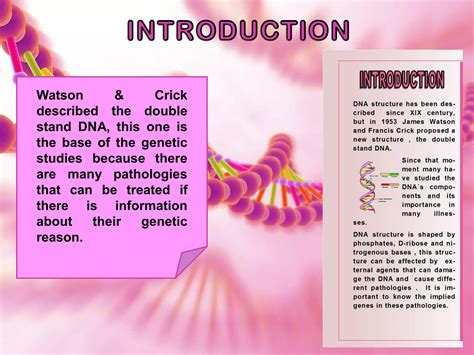 Dna Structure Ppt