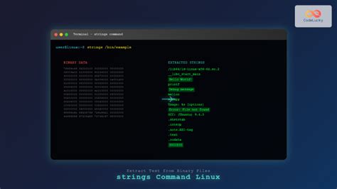 Cut Command Linux Extract And Process Columns From Text Files Efficiently Codelucky