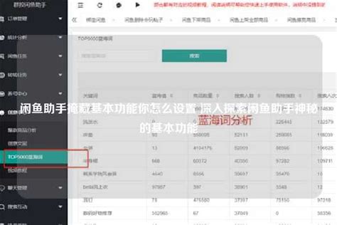 闲鱼助手掩藏基本功能你怎么设置 深入探索闲鱼助手神秘的基本功能 闲鱼助手