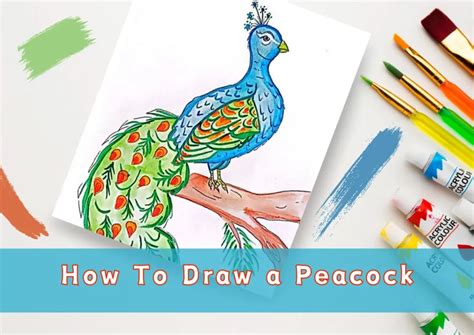 How To Draw A Peacock A Step By Step How To Mimi Panda
