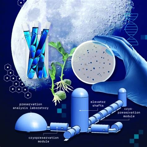Científicos planean construir el Arca de Noé en la Luna Ufo y Misterios