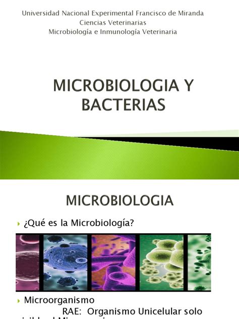 Clase 01 Microbiologia Y Bacterias Pdf