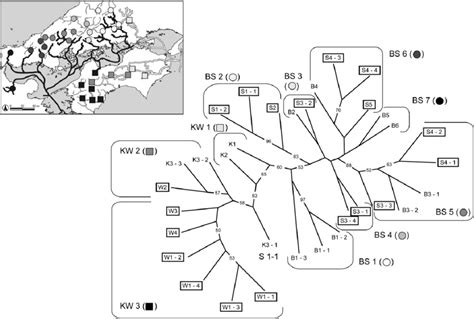 Fitch Margoliash Fitch And Margoliash 1967 Population Tree For The Download Scientific