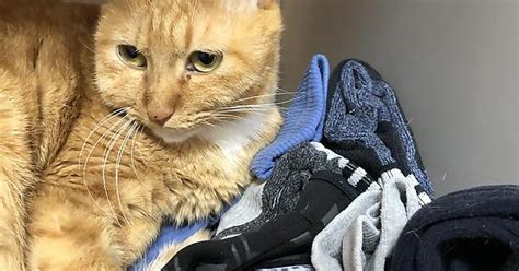 This Is Squatch She Is 3 Years Old Today She Is Awesome Album On Imgur