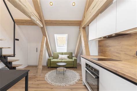 Smaragdna LjubljanČanka S Pogledom Na Ljubljanski Grad Oddaja