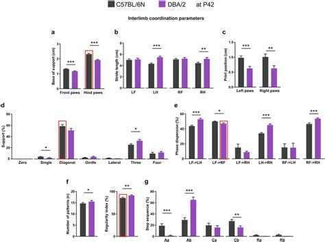 Comparison Of Interlimb Coordination Parameters Between C57bl6n And