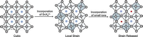 Multication Tin‐lead Perovskite Photodiodes With Engineered Lattice