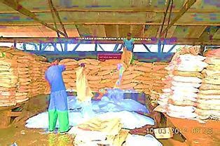 MANAJEMEN PEMUPUKAN KELAPA SAWIT DI SUNGAI CEMPAGA ESTATE PT WINDU NABATINDO ABADI BUMITAMA