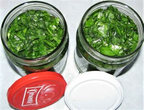 Щавель на зиму Рецепты лучших заготовок щавеля