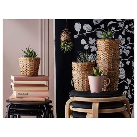 Fridfull Plant Pot Water Hyacinth 12 Cm Ikea Lietuva