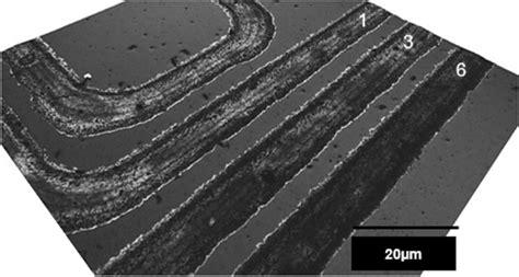 3d Rebuild If The Printed Sensor Structures Of Different Lines As The