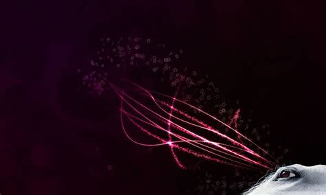 Hourse Eye 4k Uhd Wallpaper For Ultrahd Desktop And Tv Widescreen And Ultrawide Display