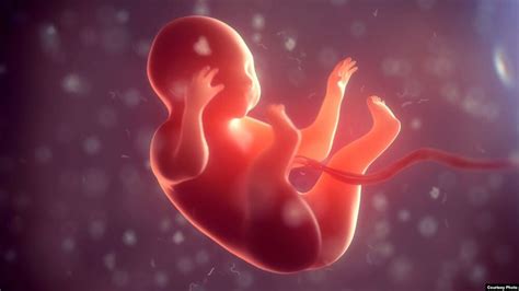 Iranian Center Uses Ngs To Prevent Genetic Disorders Disabilities