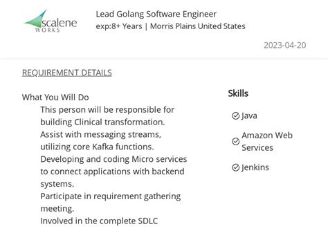 Job Title Lead Golang Software Engineer Aadil Bhatti