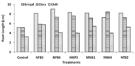 Inoculation Effect Of Pgpr Strains On Root Length Of Seedlings After