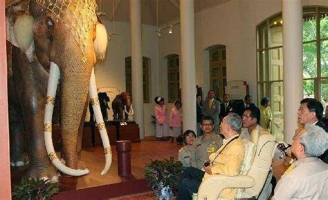 “พระเศวตอดุลยเดชพาหนฯ” ช้างเผือกคู่พระบารมี แห่ง รัชกาลที่ 9 King