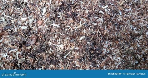 Coconut Shell Powder Stock Image Image Of Powder Leaf 256204241
