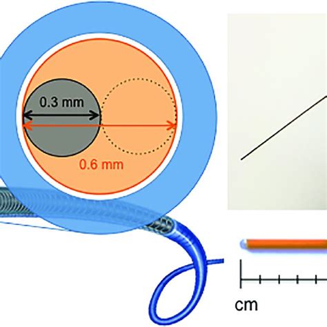 Daniel Candinas Head Of Department Universität Bern Bern Unibe