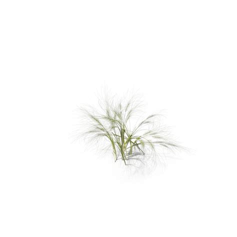 Patch Of Grass Png Images And Psds For Download Pixelsquid S112206208