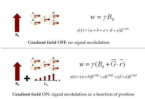 employing gradient field for signal acquisition download scientific
